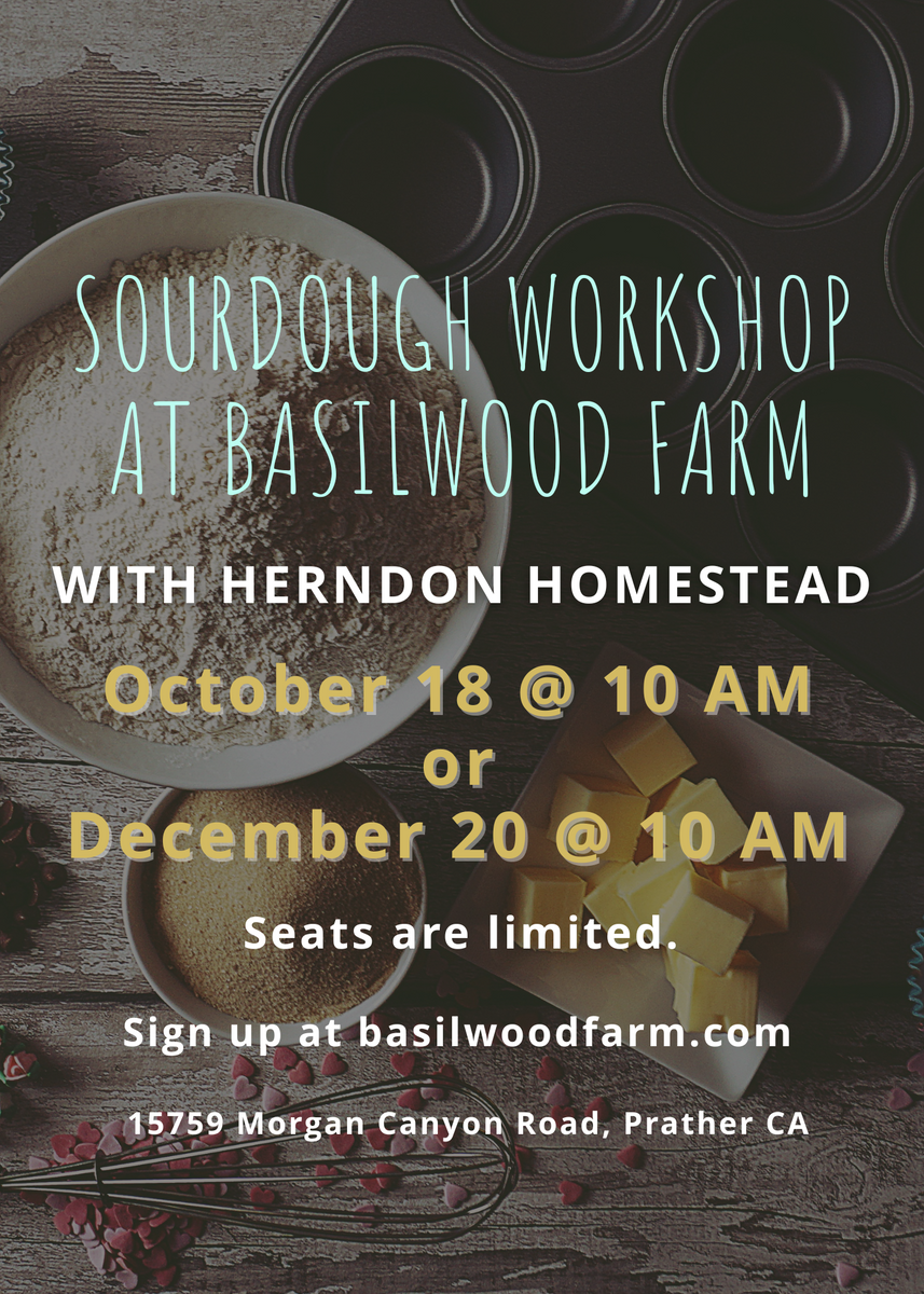 Sourdough Bread Demo Class with Herndon Homestead – Basilwood Farm