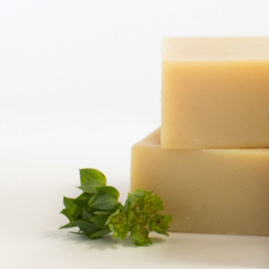 Shampooch ShamPooch Goat Milk Dog Shampoo Soap | Basilwood Farm